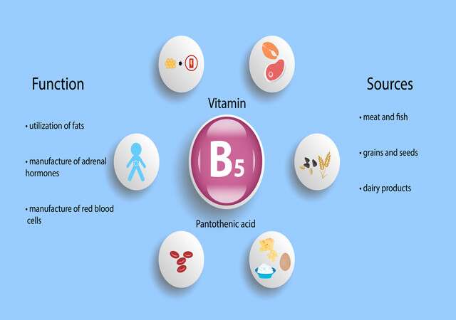 Vitamin B5 (Pantothenic Acid): Everything You Need To Know – Jaano ...